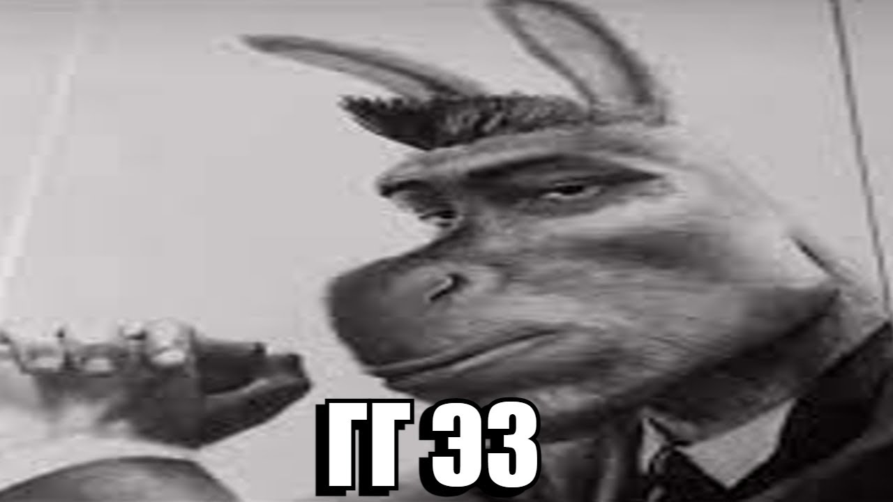 Shitposting Compilation V153