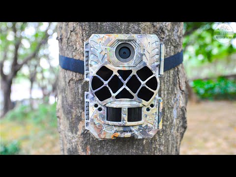 Best Hunting Trail Cameras 2023 - Top 5 Best Trail Cameras For Hunting