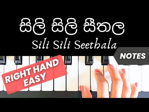 Sili Sili Seethala – EASY BREEZY PIANO