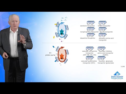 How Neurotransmitters Are Transported: Psychotropic Transporters