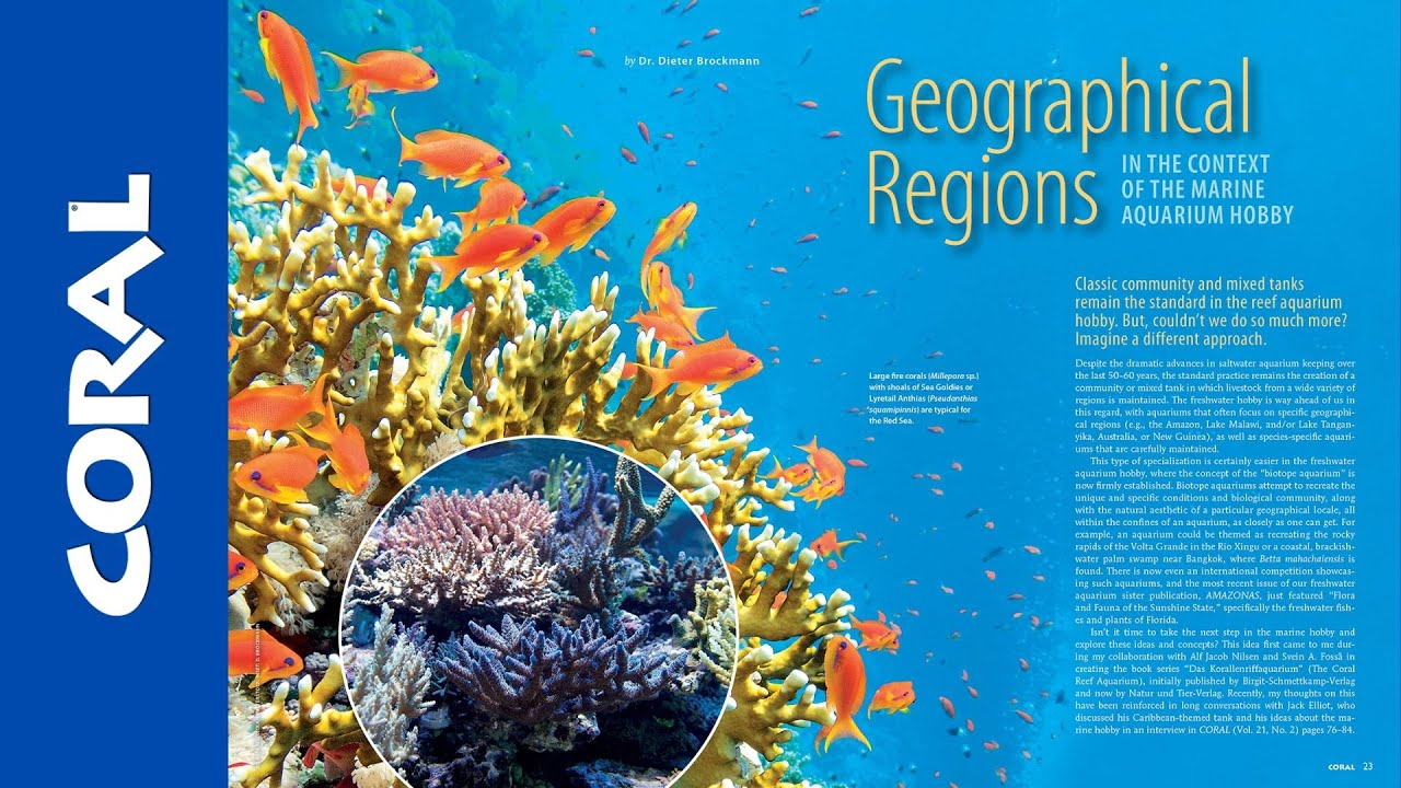 THEMED AQUARIUMS - CORAL Magazine Inside Look - Volume 21, Issue 5