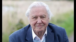 Sir David Attenborough to walk through final day on Earth for dinosaurs in new documentary