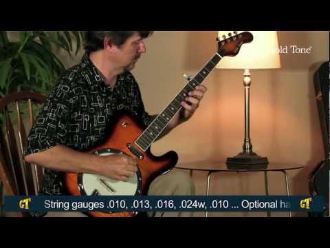 Gold Tone EBT-5 Electric Banjo Tele | Reverb