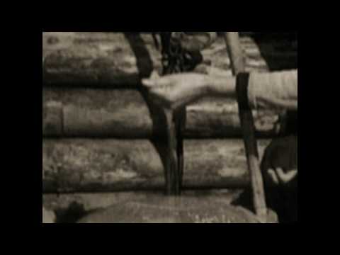 Votic – Europe Minority Languages