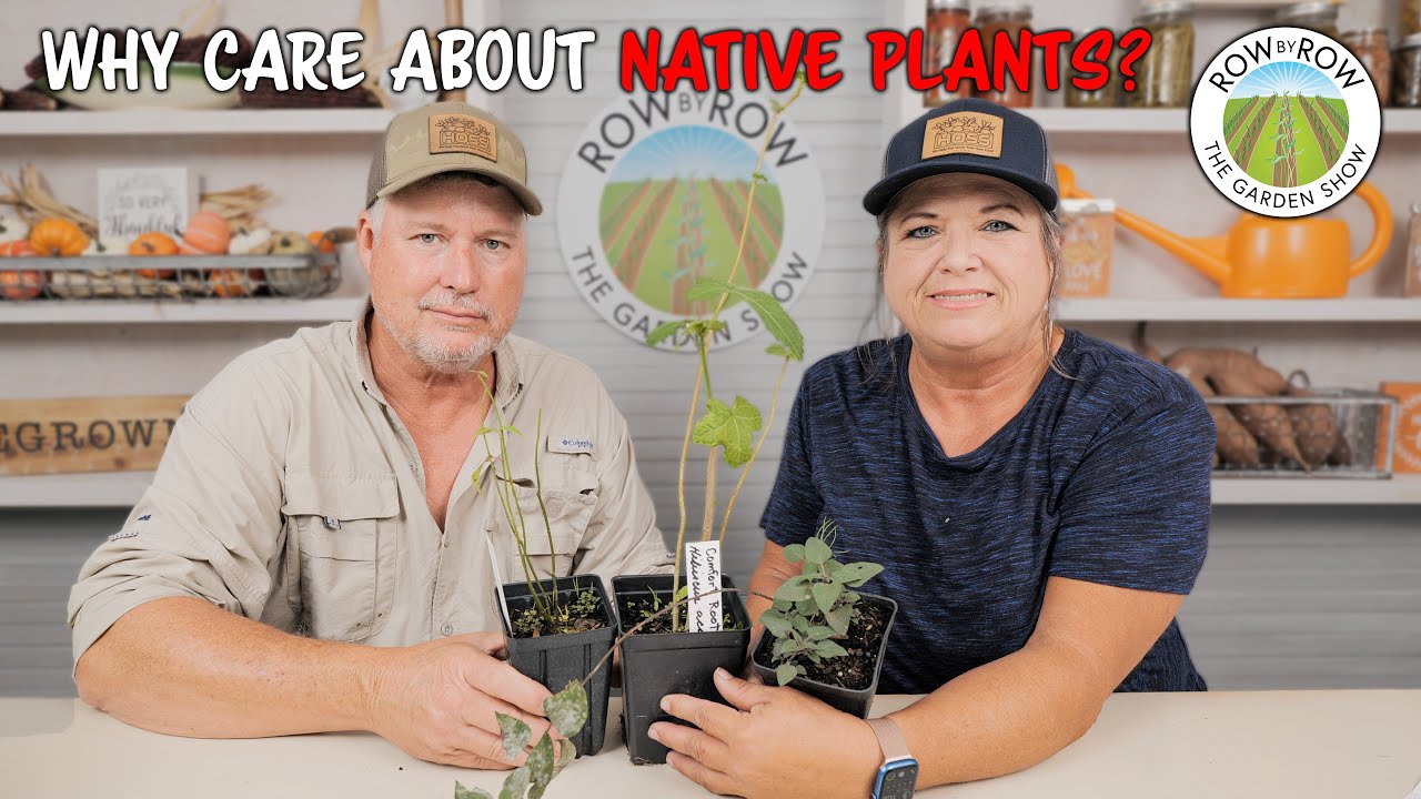 Are Native Plants Really That Important?