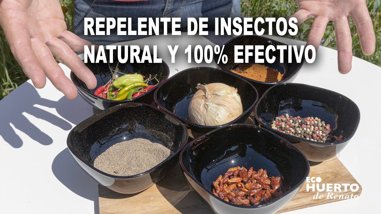 REPELENTE DE INSECTOS NATURAL Y 100% EFECTIVO
