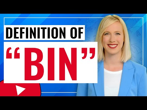 BIN use in a Sentence, Meaning and Definition