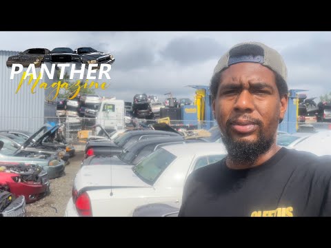 Checking Out The Panthers At My Local Junkyard [Everett’s Auto Parts] (Brockton, MA)