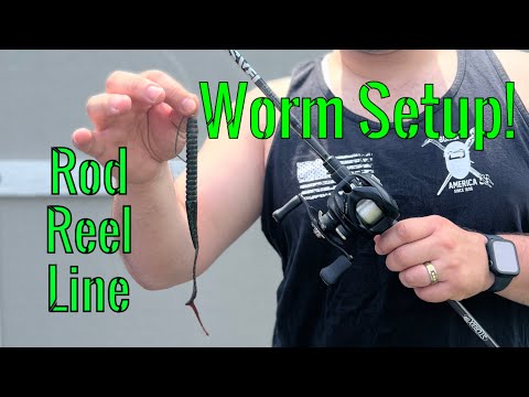Worm setup (Rod, Reel, Line)