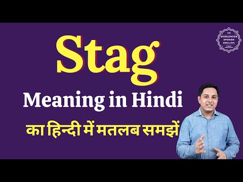 Stag meaning in Hindi | Stag ka matlab kya hota hai | English vocabulary words