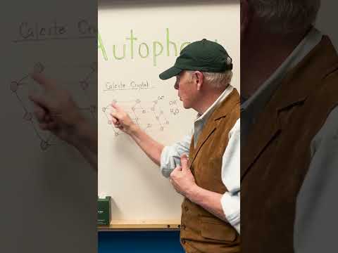 What Negative Ions Are in NION?
