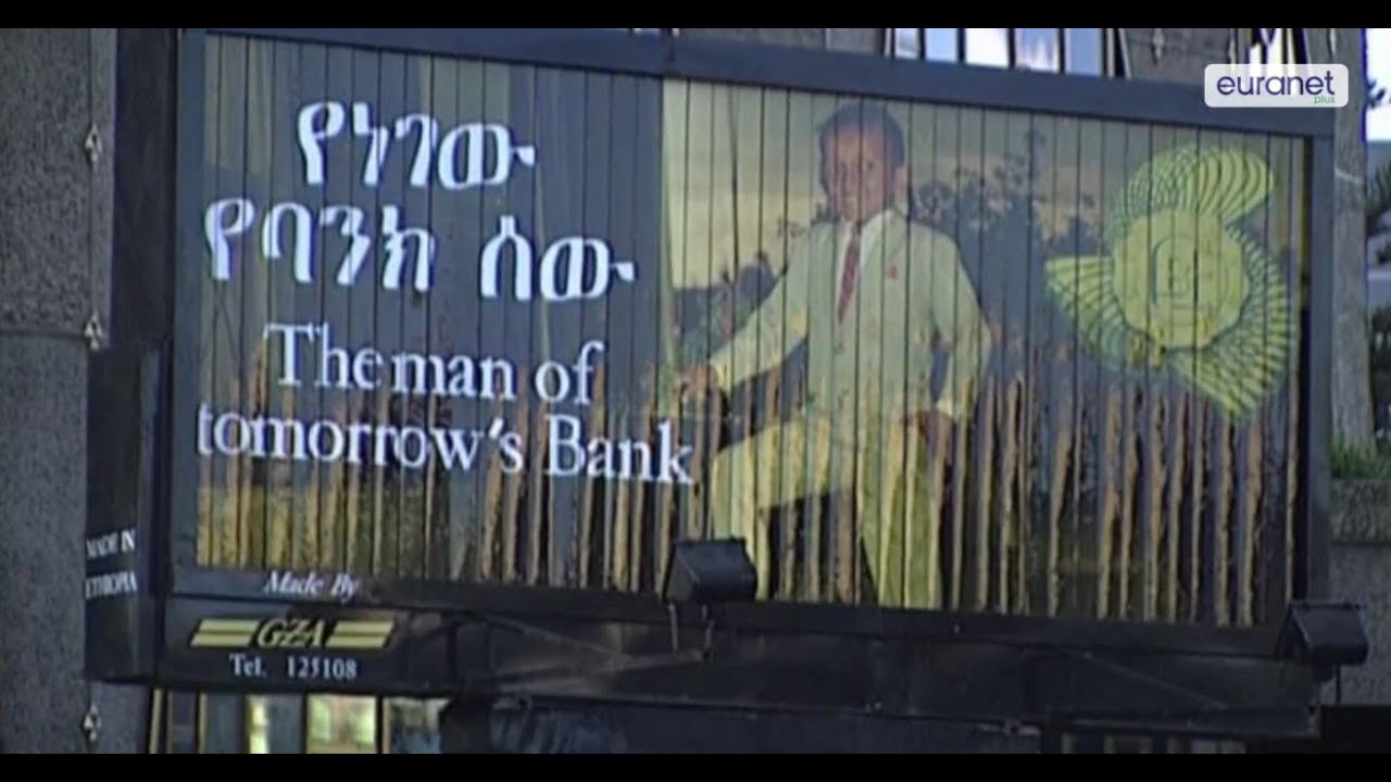 Can development privatisation erase world poverty?