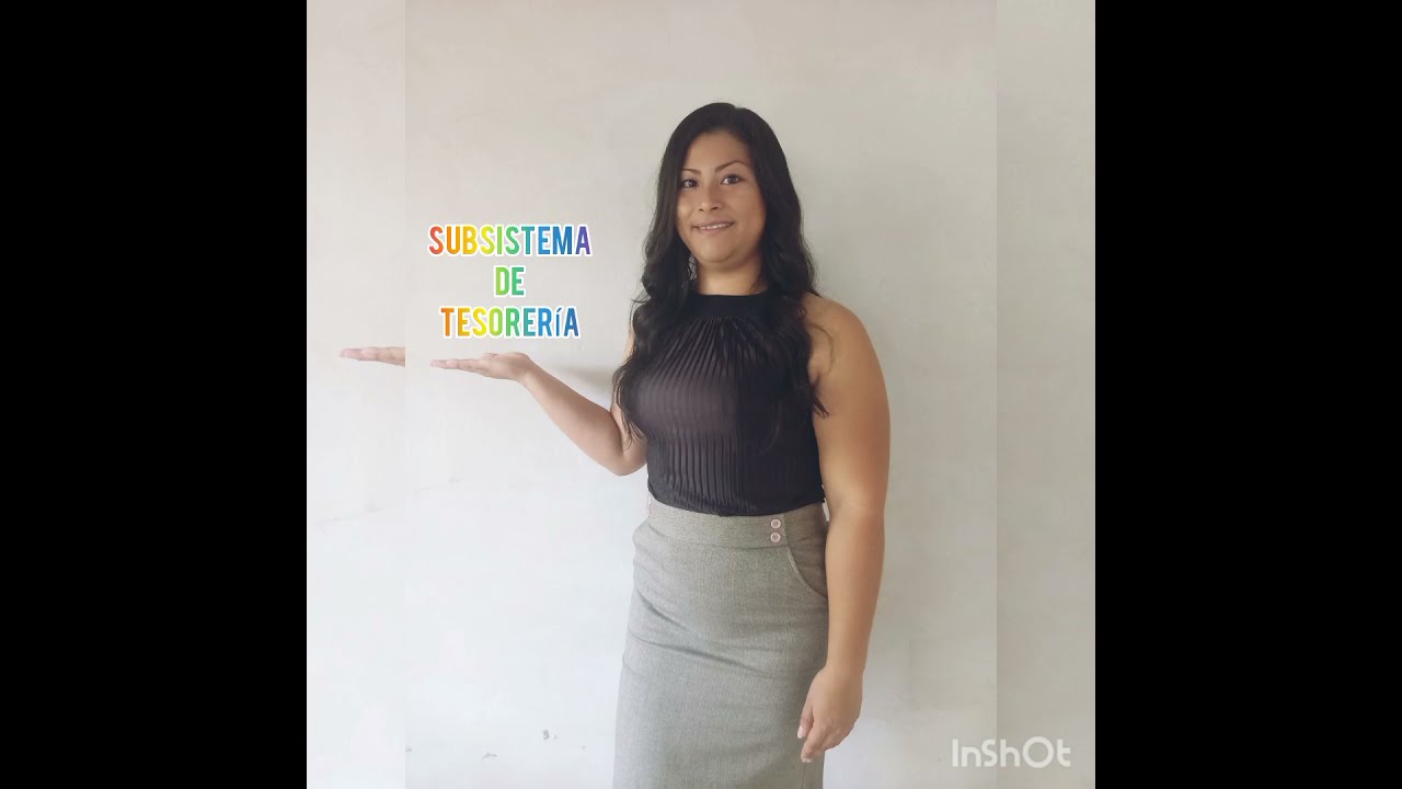 Subsistema de Tesorería