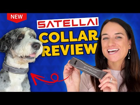 SATELLAI Smart GPS Dog Collar Review: WATCH Before You Buy