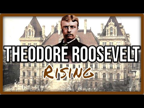 Theodore Roosevelt Rising in NY - A Brief History (New York State)