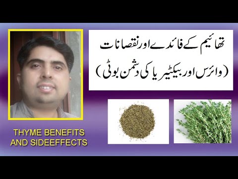 THYME BENEFITS AND SIDE EFFECTS IN URDU/HINDI,THYME JARI BOOTI KE FAYDAY AOR NUQSANAT