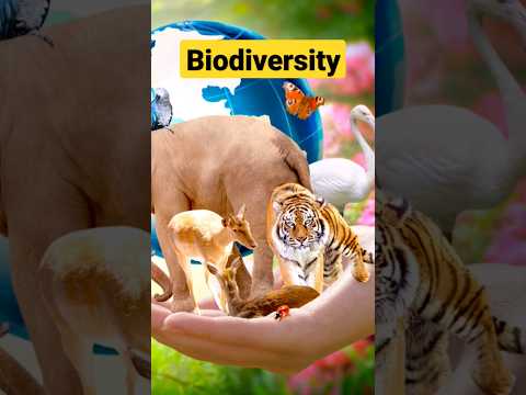 WHAT IS BIODIVERSITY #biology #biodiversity #shorts #trendingshorts #zoology #botany #bio#diversity