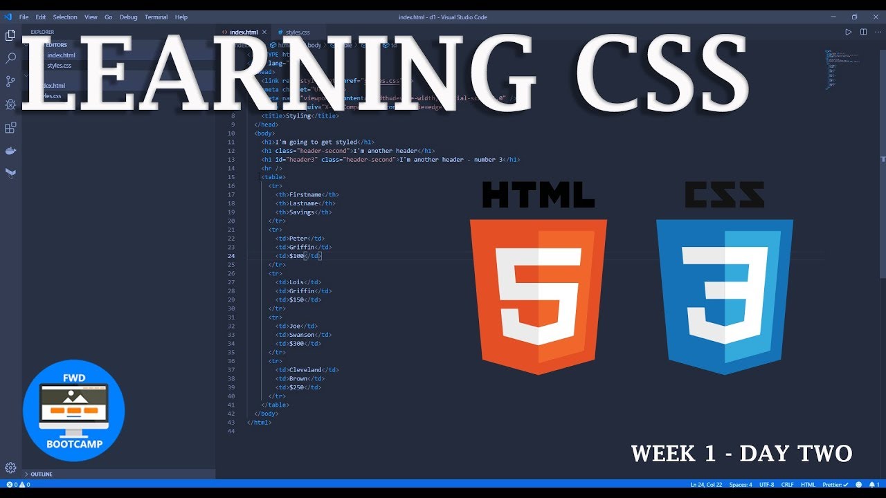LEARN CSS | FREE FULL STACK WEB DEVELOPMENT BOOTCAMP | DAY 2 | WEEK 1