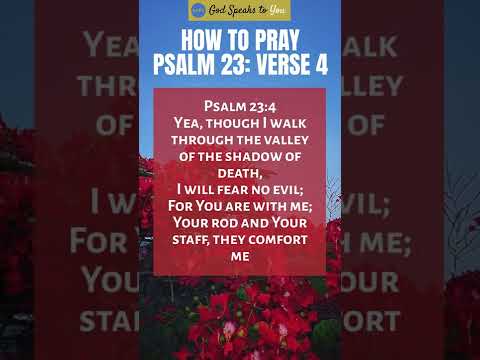 How to Pray Psalm 23: Verse 4