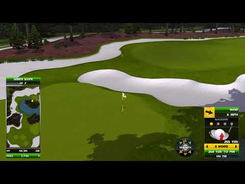 Golden Tee Replay on Sandhill Woods.