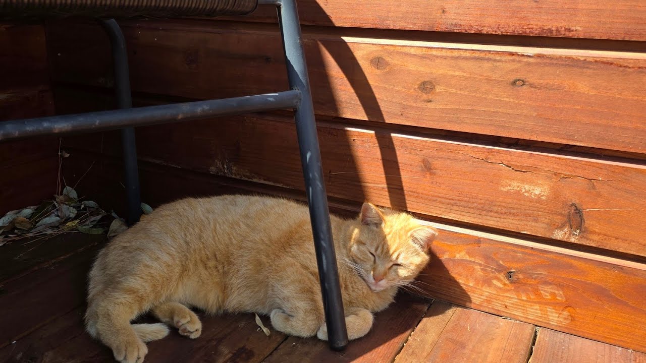 South Korea Cycle Tour Day 28 🌸 🇰🇷 | Girl Solo Cycle Touring