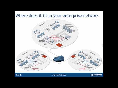 How LANGuardian Works