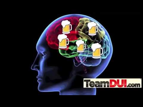 Blood Alcohol Level-How to calculate BAC-BAC chart information-BAC level-Part 2