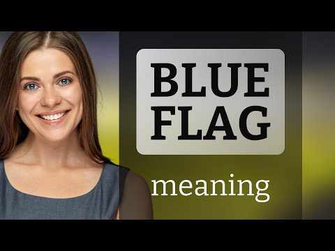 Exploring the Meaning of "Blue Flag": A Comprehensive Guide