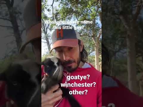 What should we name this baby goat?