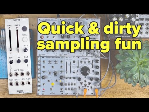 Sebsongs Modular Sampler eurorack | Reverb