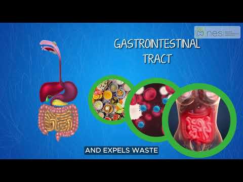 Gastrointestinal Dysfunction