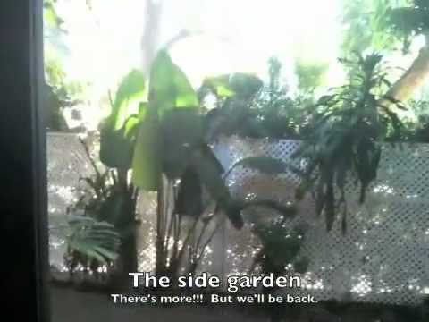 FOR RENT: Large 2BR/2BA West Hollywood Apt with Garden