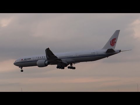 Air China | Boeing 777-300ER | B-2039 ► Landing in Frankfurt am Main [EDDF/FRA]