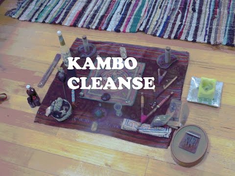 kambo treatment: All the Stats, Facts, and Data You’ll Ever Need to ...