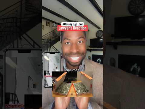 Man tries to pay ticket with 137 origami pig dollar bills. Legal tender? Attorney Ugo Lord reacts!