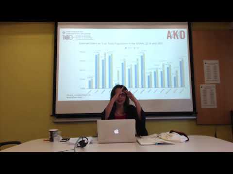 Nagla Rizk: Artificial Intelligence and Inequality in the Middle East ...