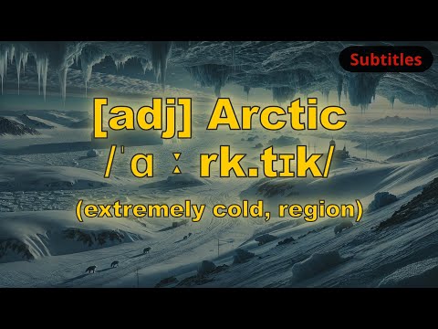 [adj] Arctic meaning (extremely cold, region) with 5 examples