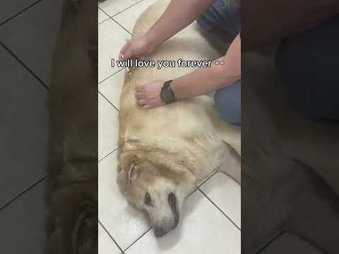 Thank you for everything 🐶❤️😭