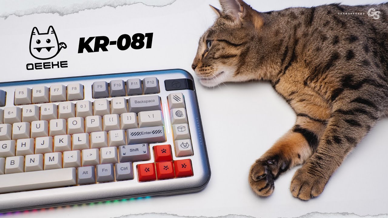 This is the BEST Prebuilt Keyboard You've Never Heard Of!