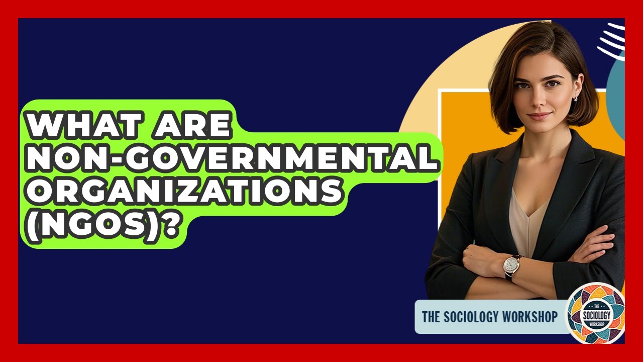 What Are Non-governmental Organizations (NGOs)? - The Sociology Workshop