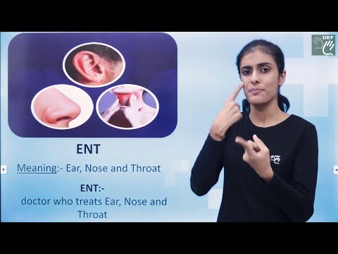 Health Vocabulary:- ENT