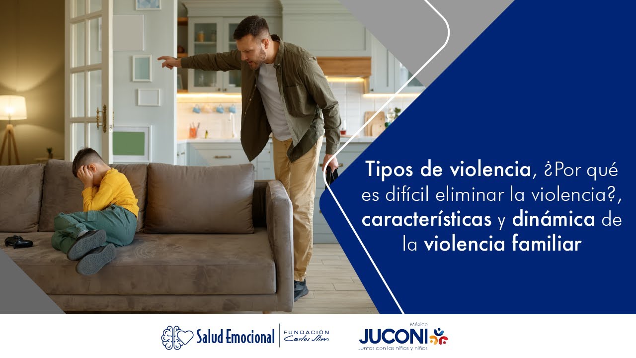 Tipos de violencia, ¿Por qué es difícil eliminar la violencia?, características y dinámica