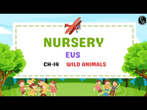 Nursery_Bloom_EVS_14_Wild Animals