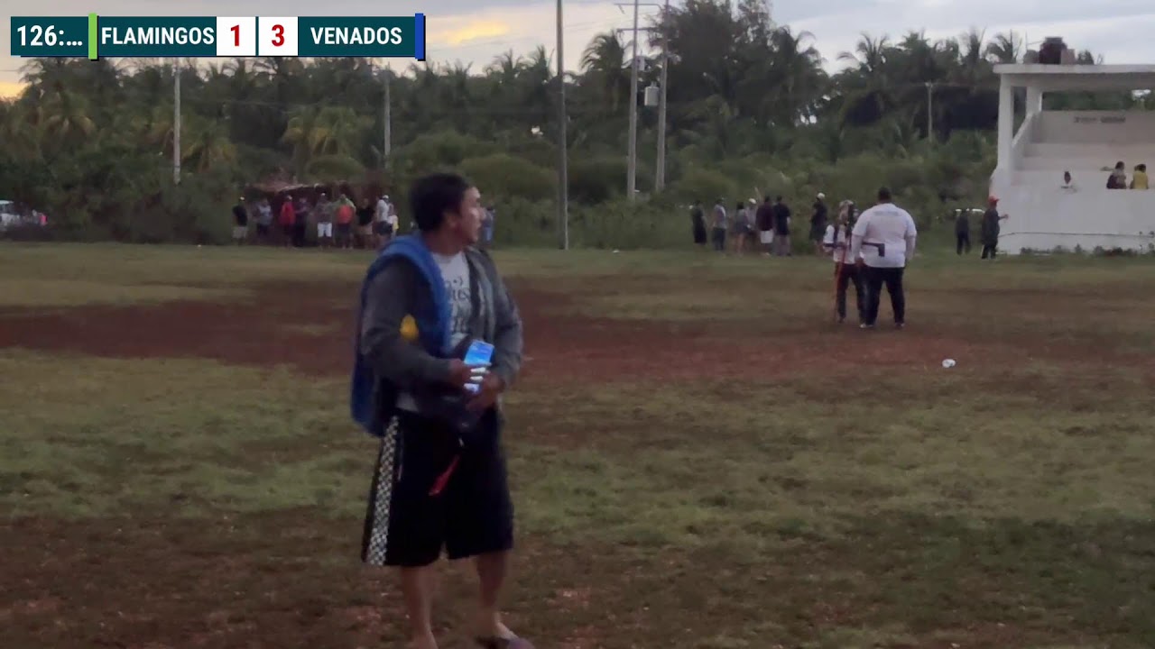 Flamingos vs avenados. Final de vuelta.  Liga Pepe Casellas