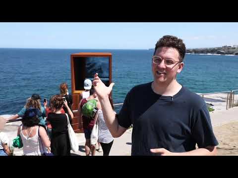 Aqualand Artist Interview Series with Joel Adler