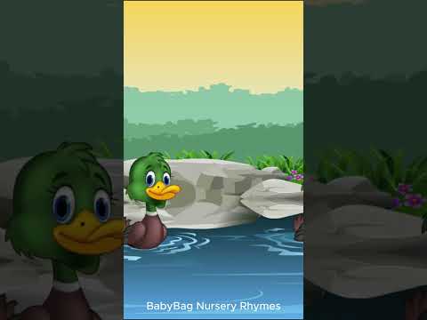 🦆 Five little ducks went swimming one day - Rhymes for babies - BabyBag Nursery Rhymes