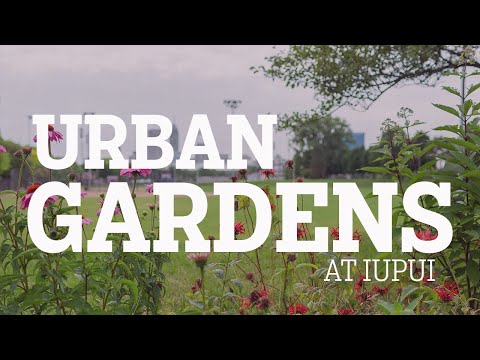 Urban Gardens expand thanks to new, eco-friendly landscaping tools