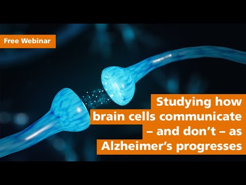 [The ASRP Exchange] Studying how brain cells communicate -- and don't -- as Alzheimer's progresses