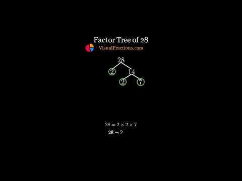 Factors of 28: Prime Factorization Using a Factor Tree