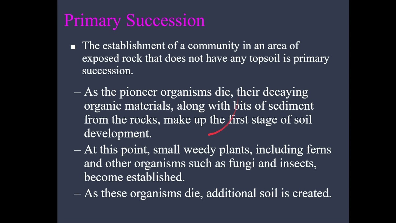 Biology | Lesson 3.1: Communities, Biomes, and Ecosystems | Explanation